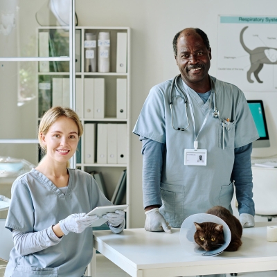 Cloud Based Veterinary Practice Software | IDEXX Veterinary Software